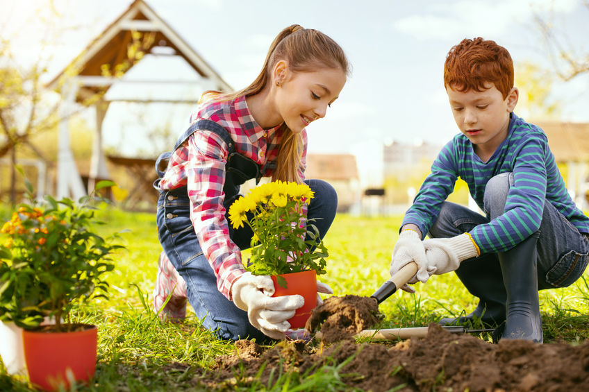 The Benefits of Picking New Flowers Each Year for Your Garden | Brother ...